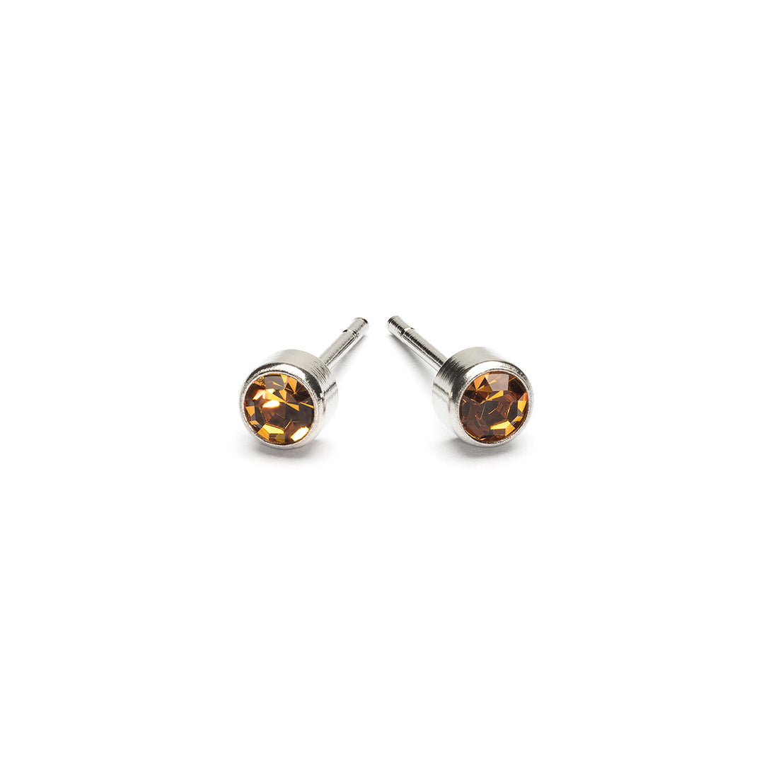 November Birthstone Stainless Steel Earrings | Simply Whispers